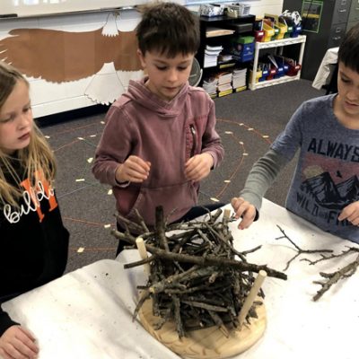 Lesson Plans – Raptor Resource Project Teachables